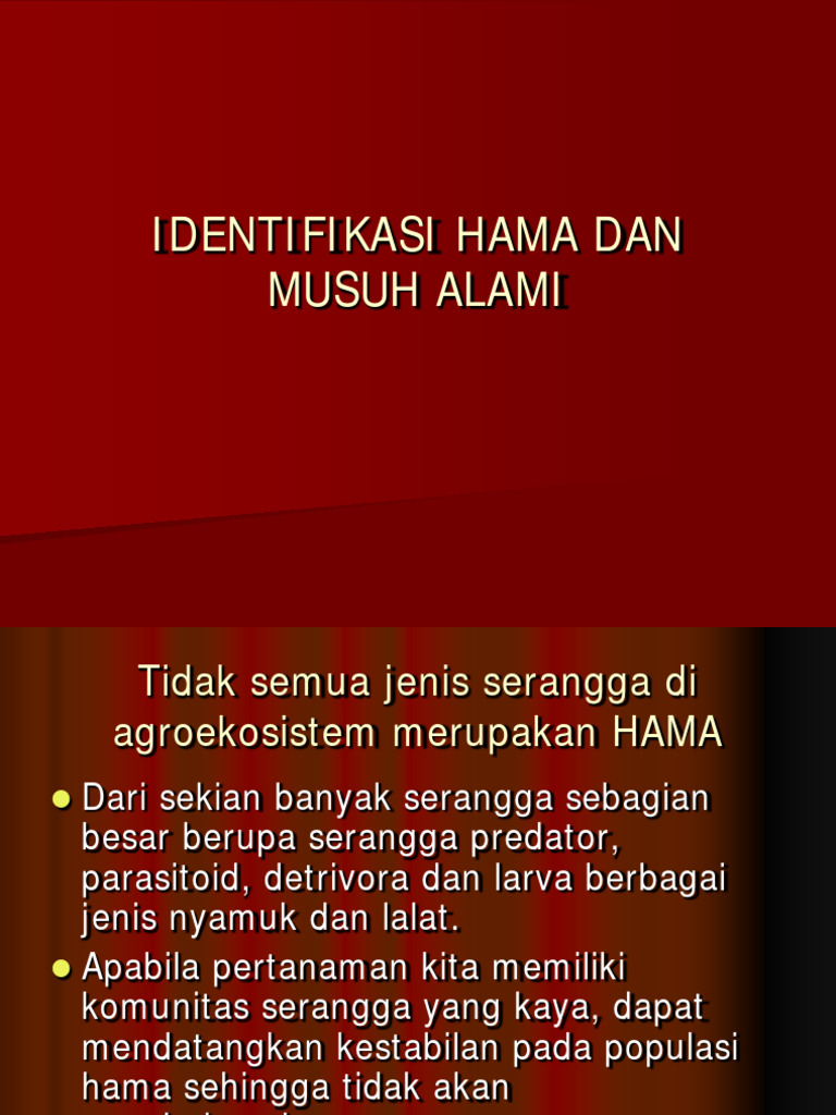 Identifikasi Hama dan Musuh Alami | PDF