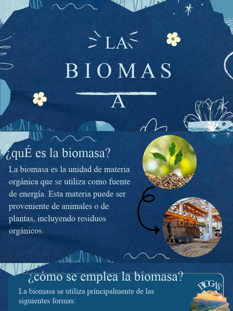 La Biomasa - 20240602 - 164615 - 0000 | PDF | Biomasa | Contaminación