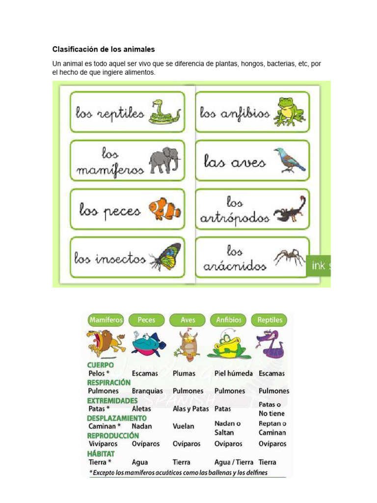 Clasificación de los Animales: Definición y Tipos | PDF