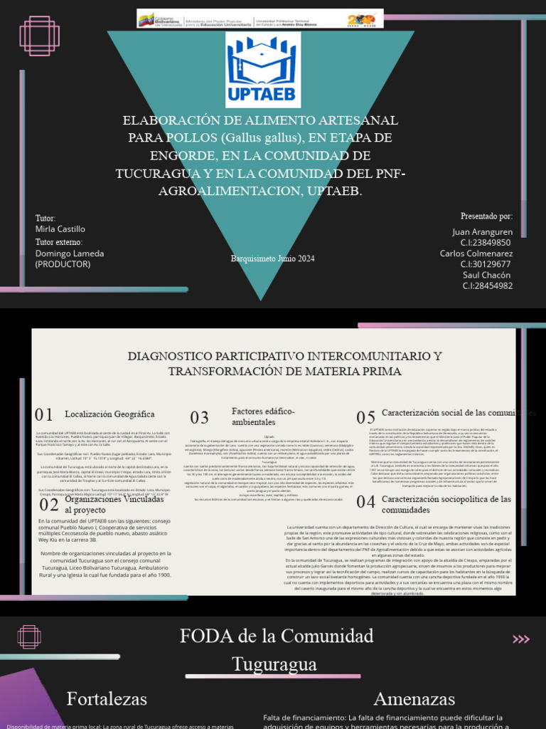 Presentación Propuesta Proyecto Brief Cliente Moderno Profesional Negro y _20240614_020139_0000 ...