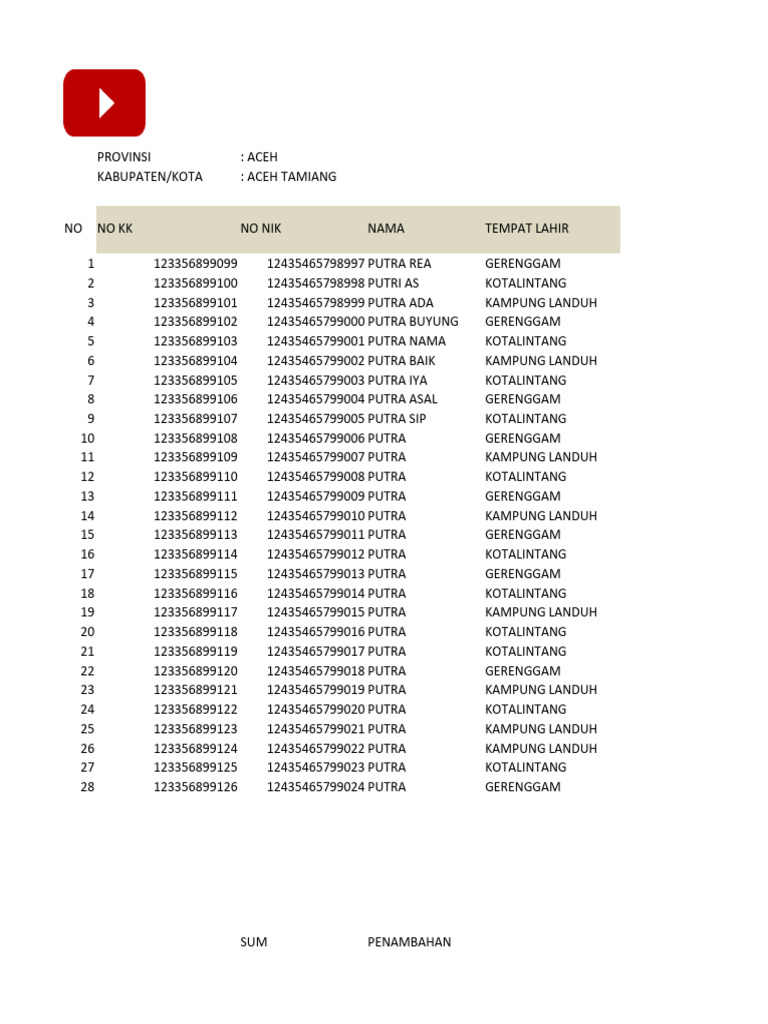 Data Soft PPS | PDF