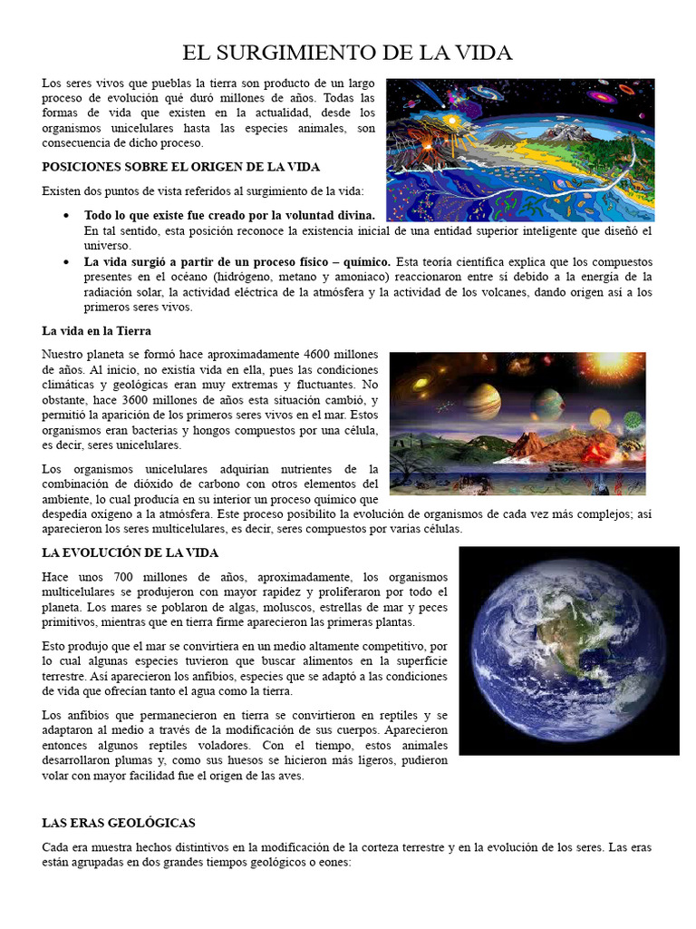 Evolución y Origen de la Vida | PDF | Organismos | Vida