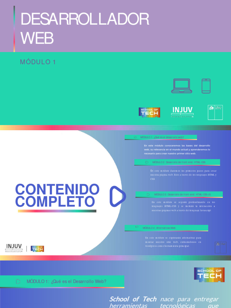 Campus INJUV - Desarrollador Web | PDF | Word Press | HTML