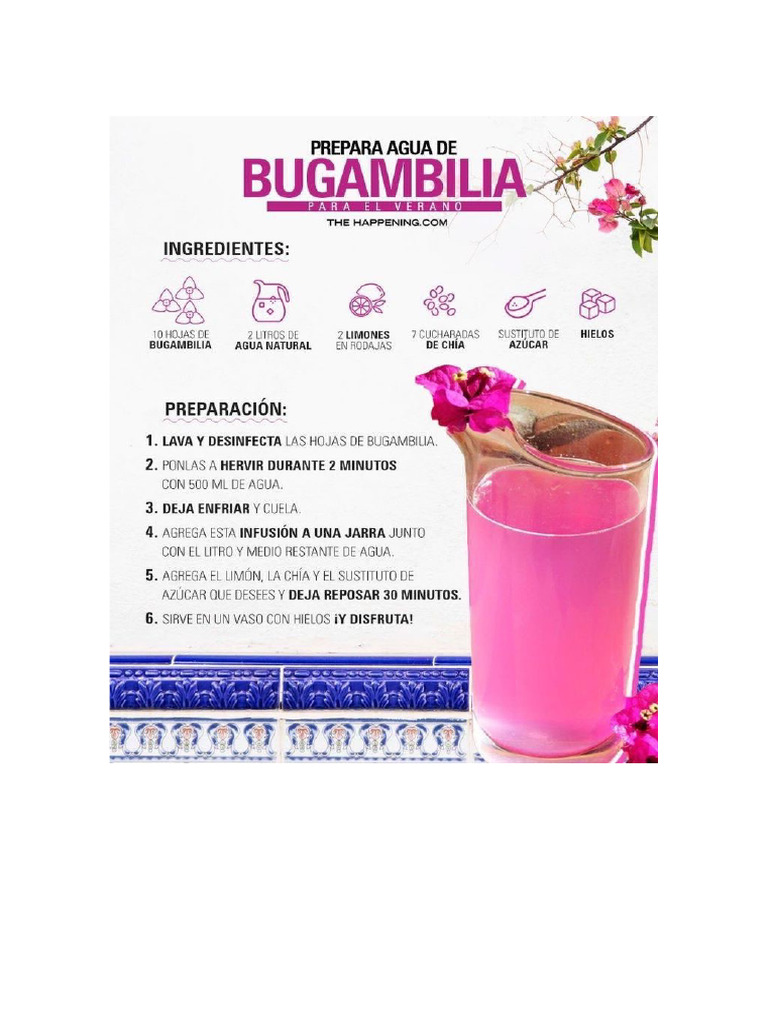 Receta - Té - Bugambilia | PDF