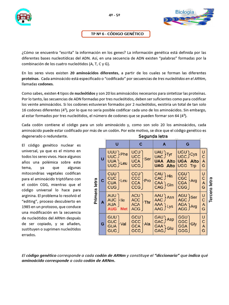 Código Genético: Estructura y Función | PDF | Codigo genetico | Adn