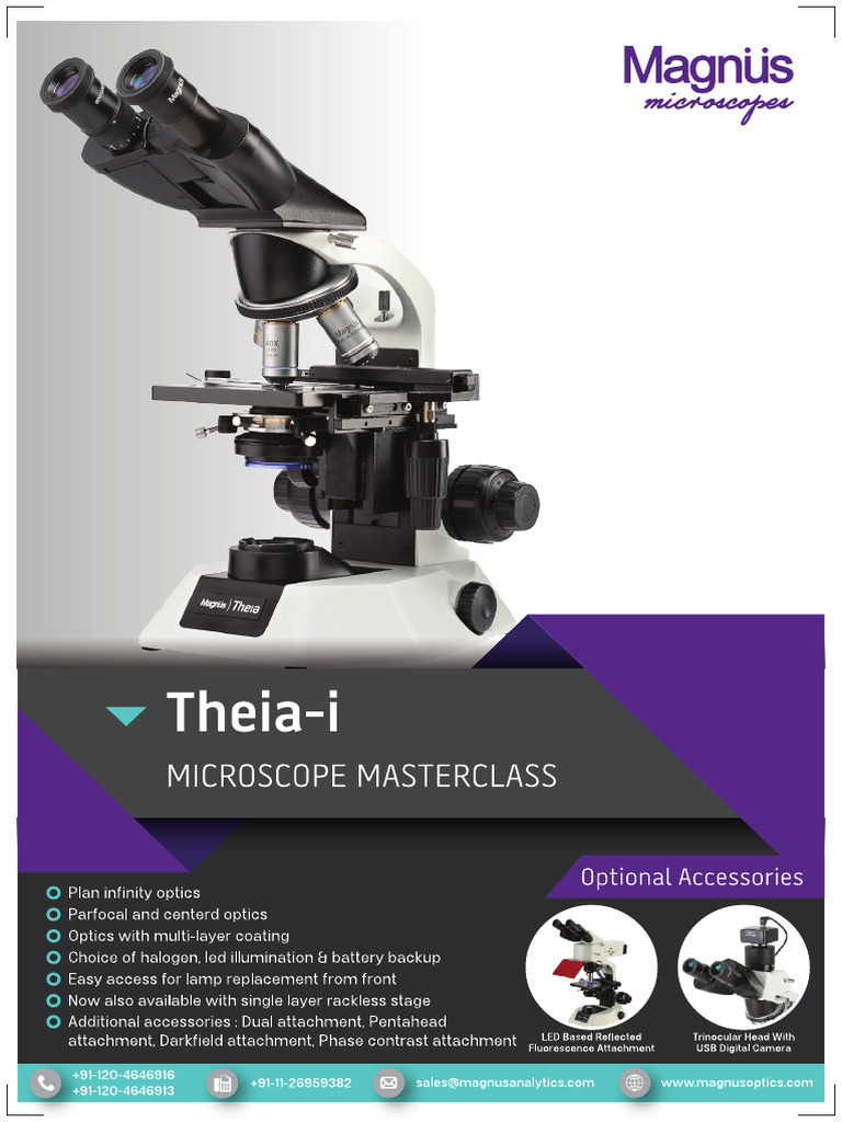 Magnus-Theia I | PDF