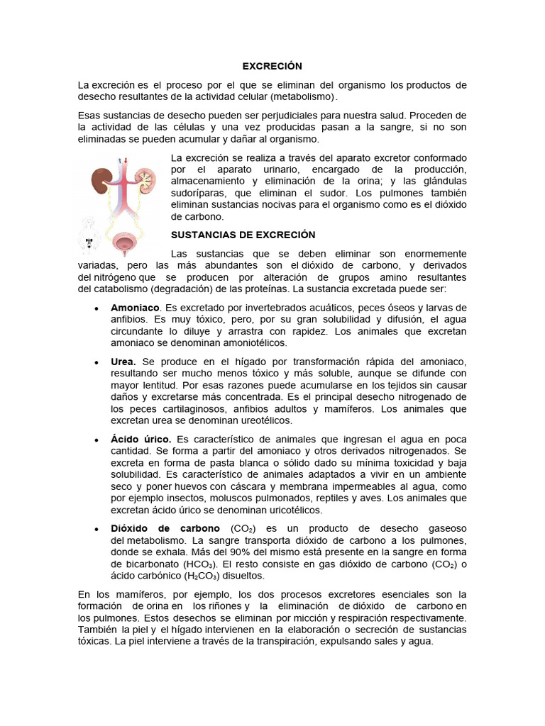 EXCRECIÓN | PDF | Excreción | Biología