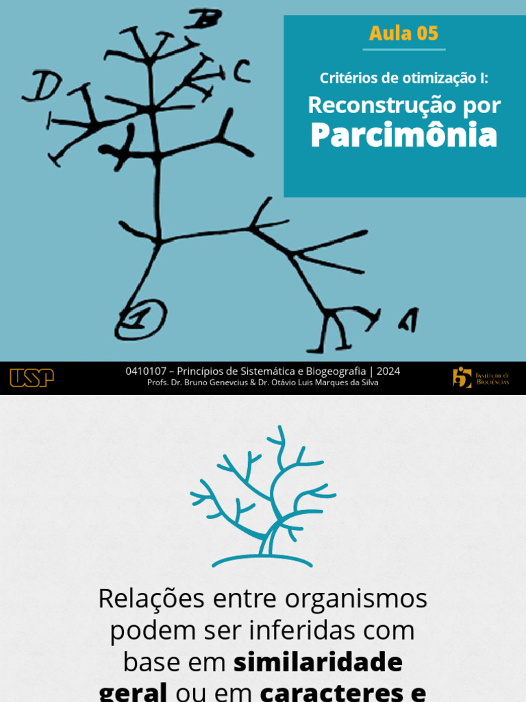 Aula 05 - Critérios de Otimização I - Parcimônia | PDF | Filogenética ...
