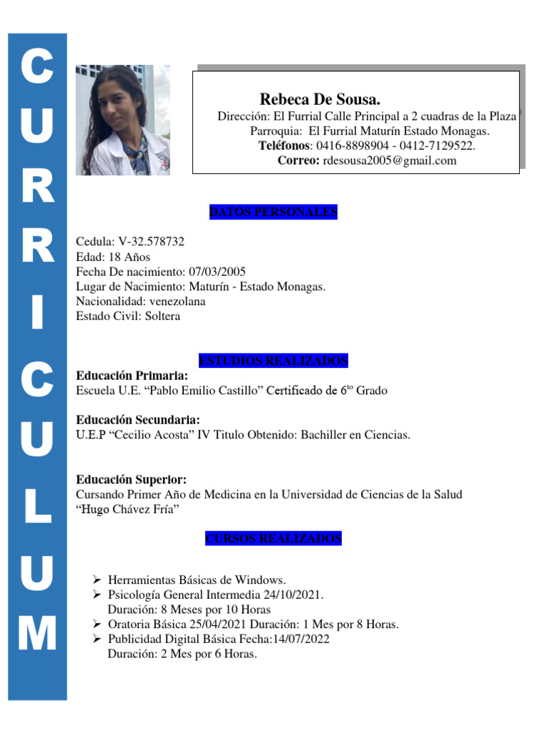 Modelo Resumen Curricular Rebeca | PDF