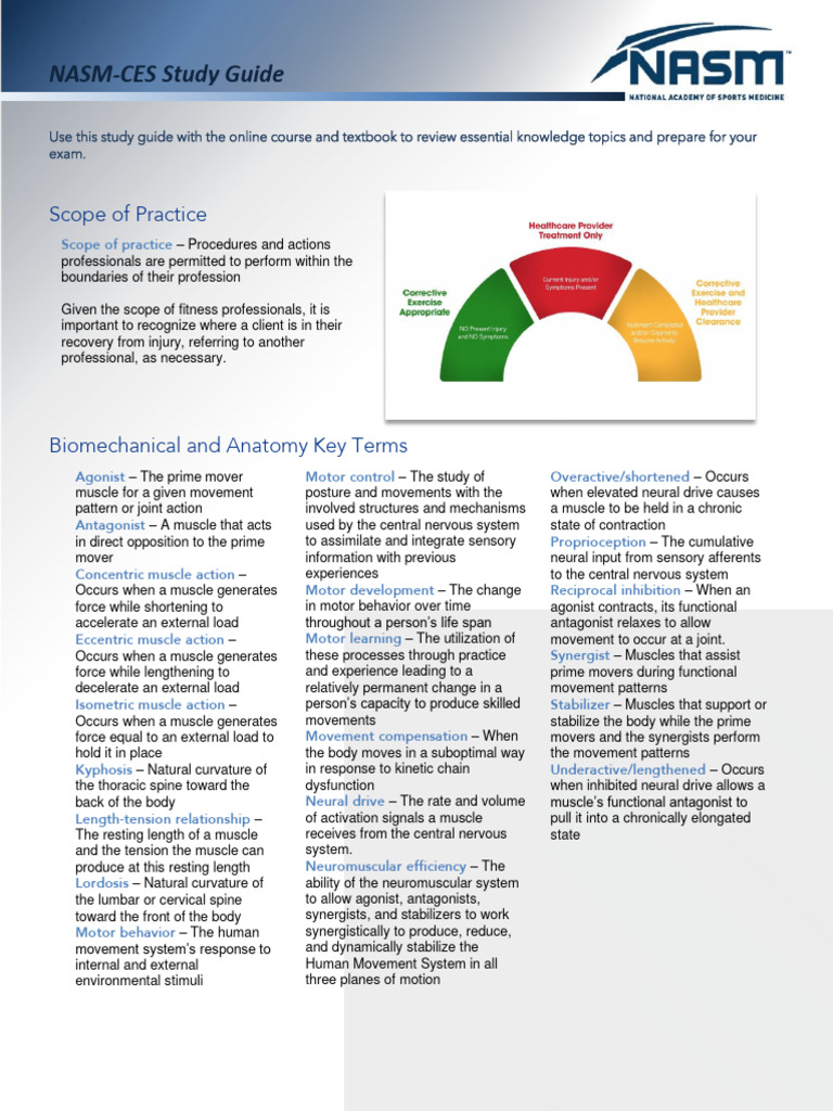 Nasm Ces Studyguide | PDF | Anatomical Terms Of Motion | Human Leg