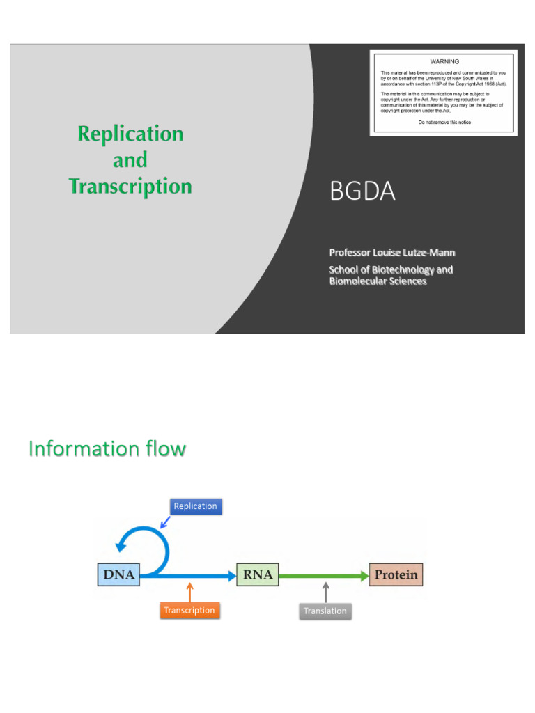 Transcription notes | PDF | Dna | Dna Replication