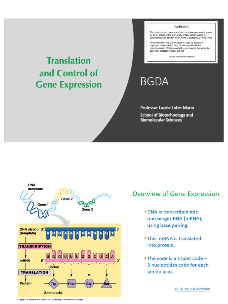 Translation Notes | PDF | Translation (Biology) | Messenger Rna