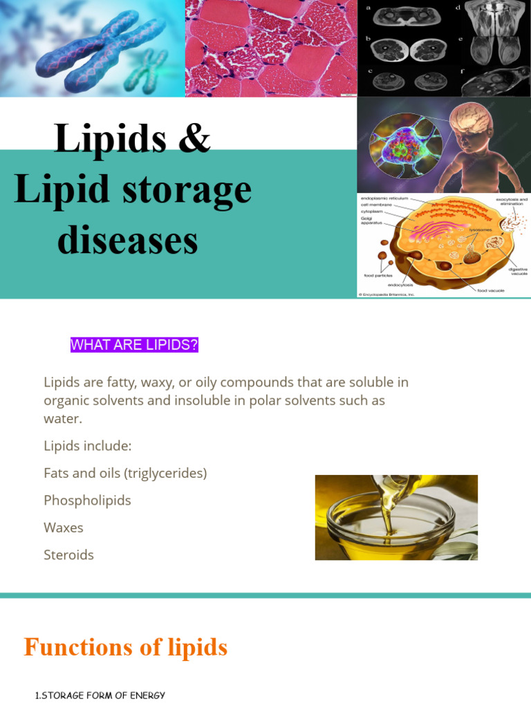 Lipids 1 | PDF | Lipid | Genetic Disorder