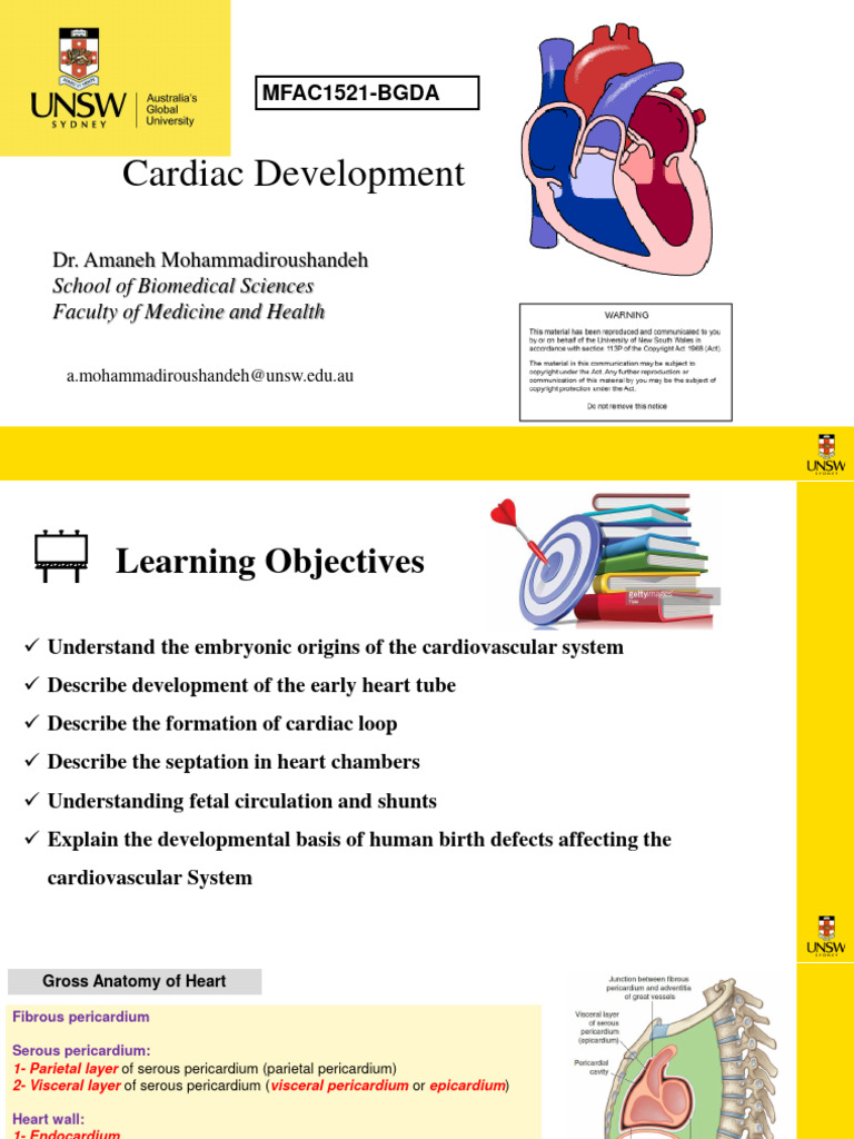 Cardiology notes | Download Free PDF | Heart Valve | Heart