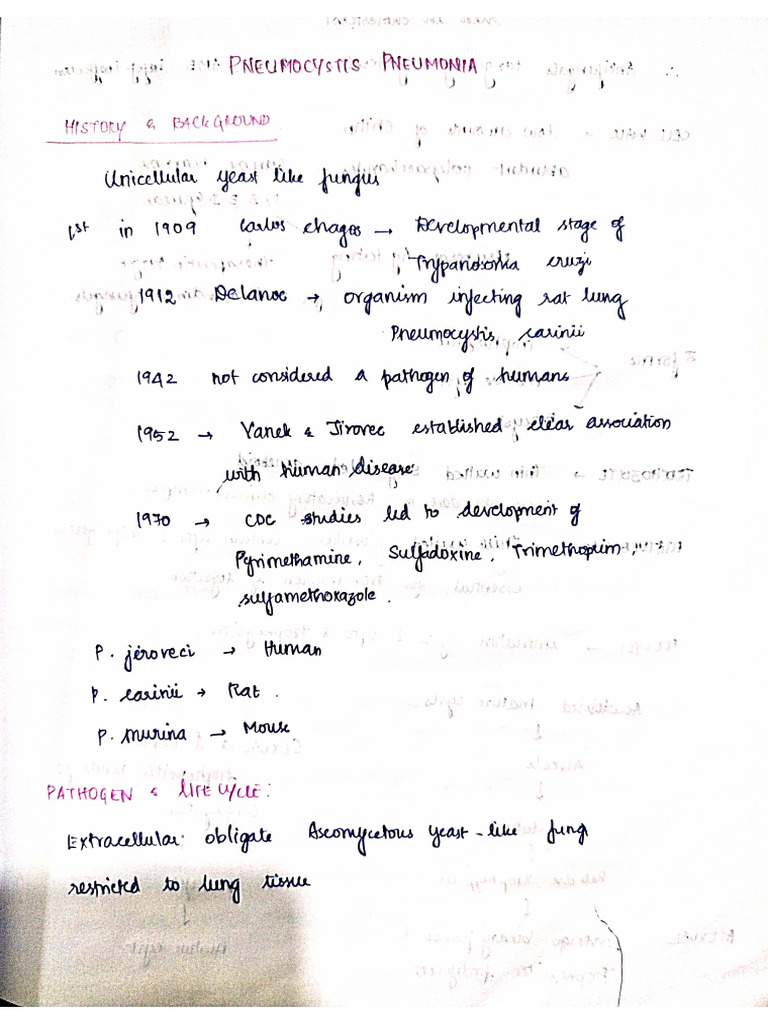 PCP | PDF
