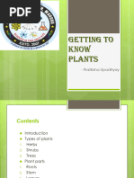 Plant Structure and Functions Guide | PDF | Plants | Leaf