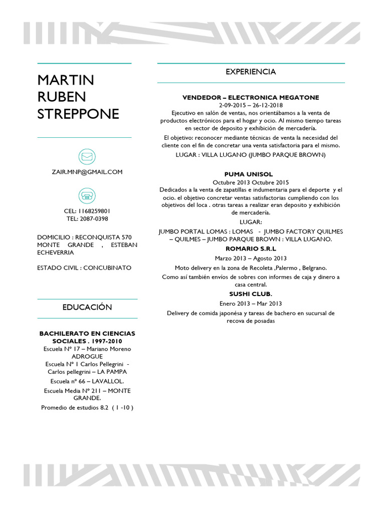 Currículum de Martín Rubén Streppone | PDF | Industrias de servicio