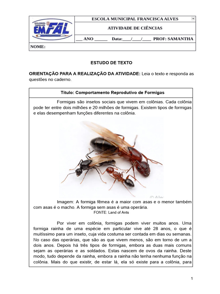 texto_formigas | PDF | Formiga | Reprodução