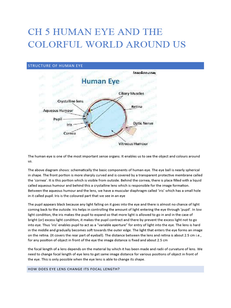 Eye Lens Focal Length and Accommodation | PDF | Eye | Human Eye