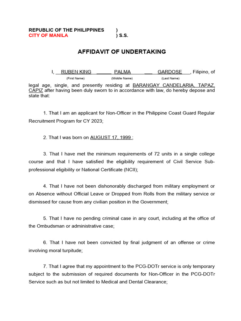 Affidavit of Undertaking Pcg01 | PDF | Affidavit | Public Law