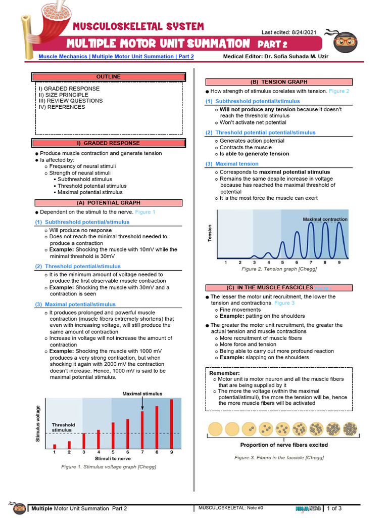 393 - Musculoskeletal Physiology) Muscle Mechanics - Multiple Motor ...