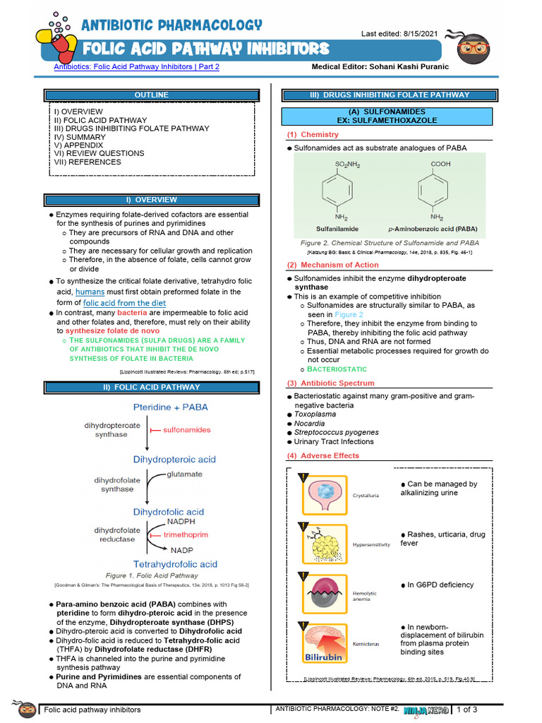 329 - Microbiology Physiology) Folic Acid Pathway Inhibitors - Part 2 | PDF | Enzyme Inhibitor ...