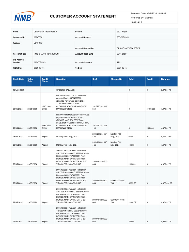 Customer Account Statement for Denice Peter | PDF | Debits And Credits ...