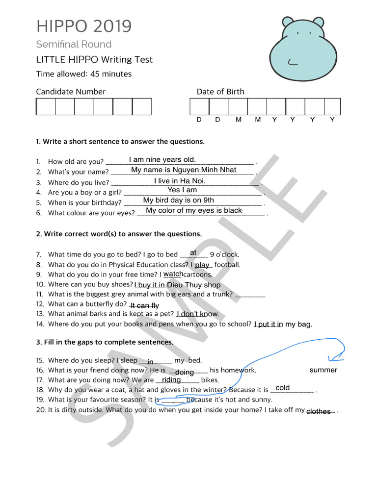 Little Hippo 2019 Writing Test | PDF
