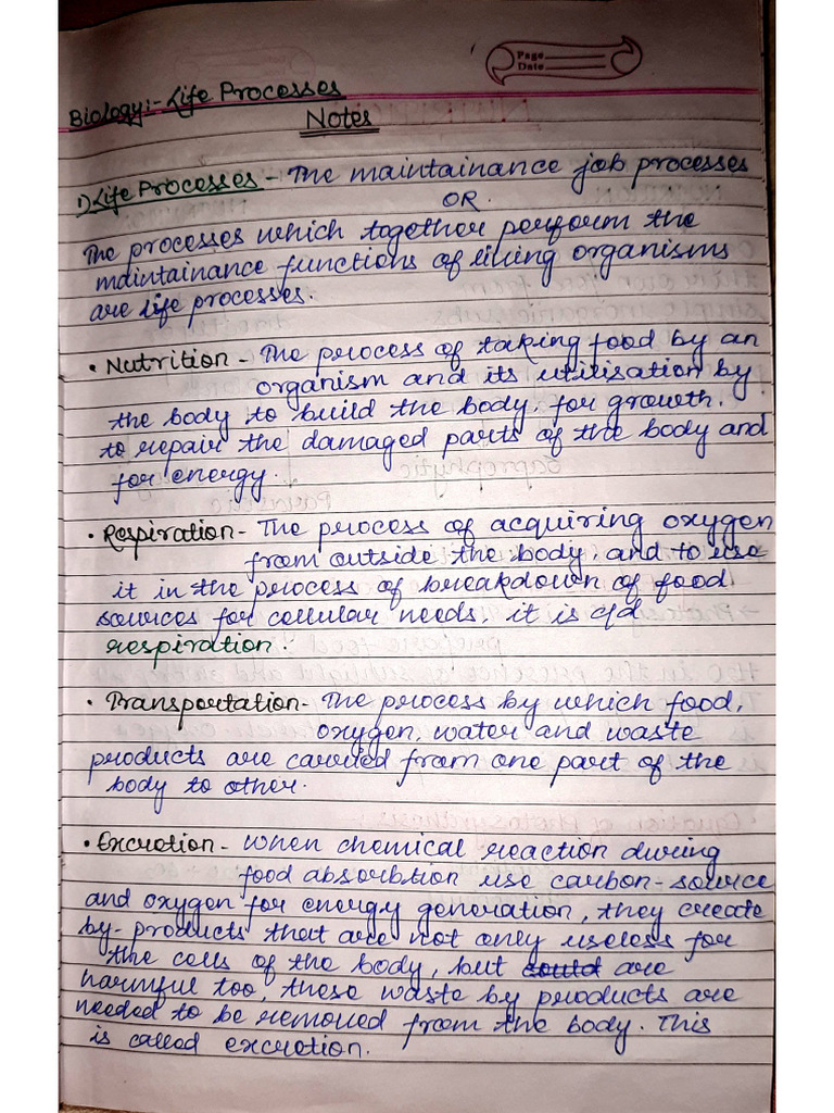Nutrition notes | PDF
