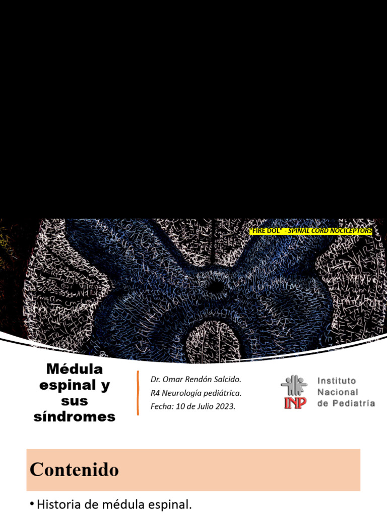 Medula Espinal y Sus Síndromes Medulares | PDF | Neuroanatomía | Anatomía