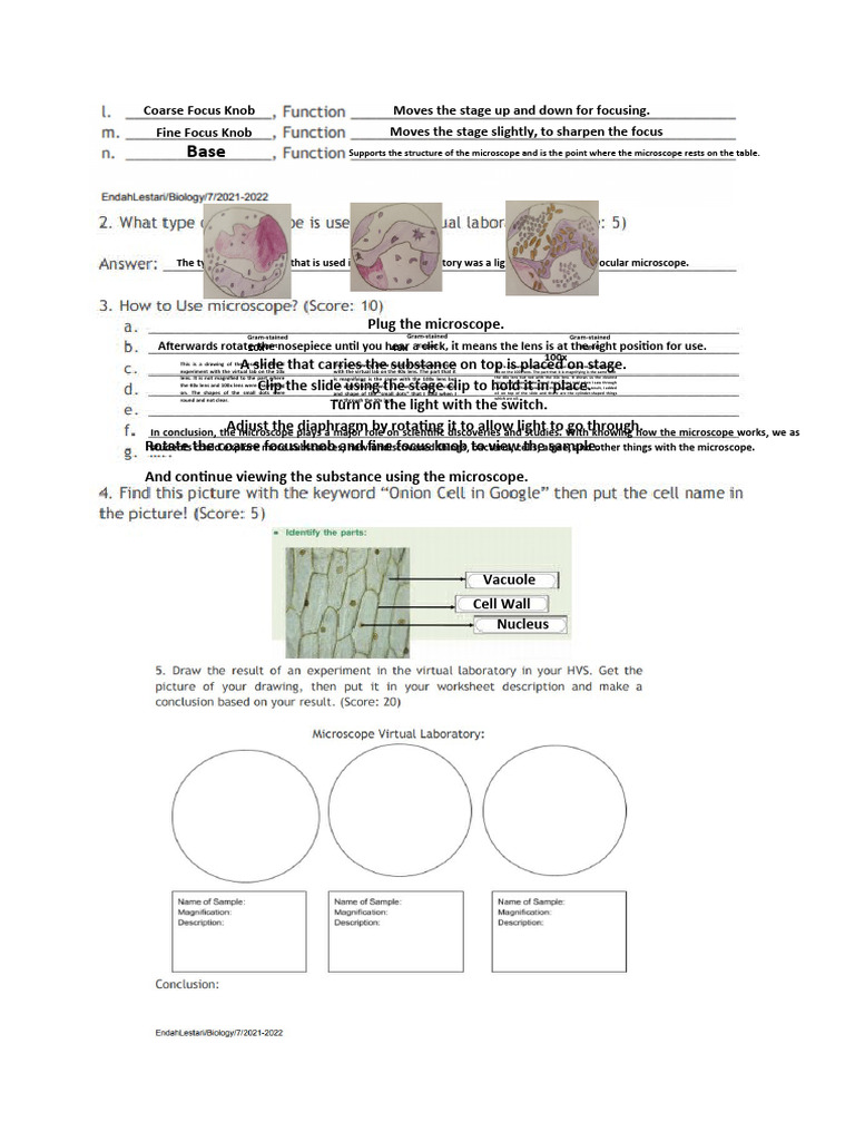 Laboratory Worksheet | Download Free PDF | Microscope | Microscopy