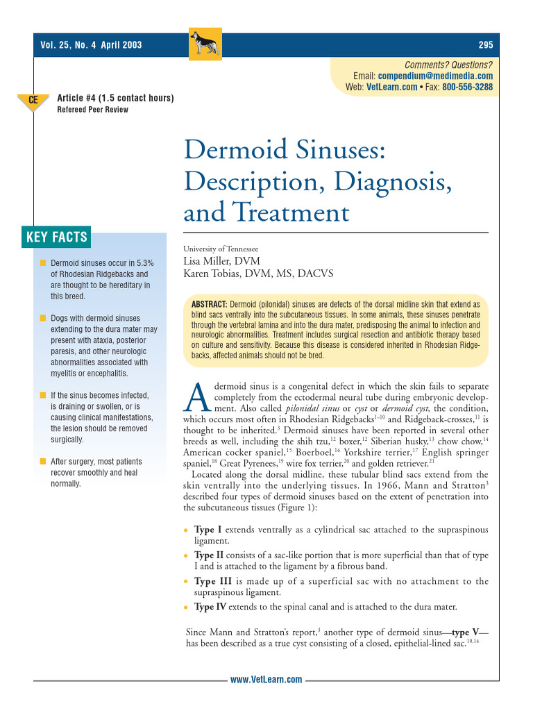 Dermoid Sinus Dogs EN | PDF | Vertebra | Surgery
