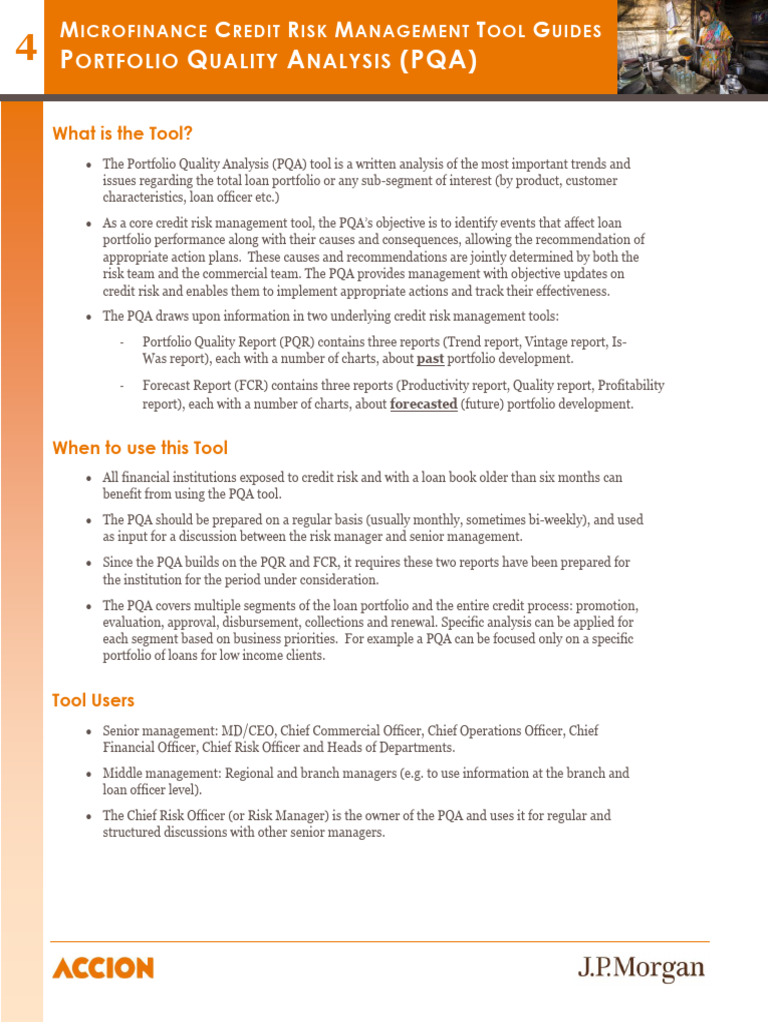 PQA Tool for Credit Risk Management | PDF | Risk Management | Risk