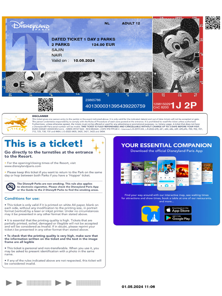 Disney Ticket | PDF