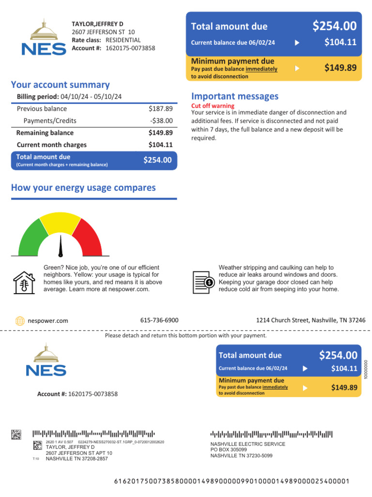 Nashville Electric Service Bill Summary | PDF | Debits And Credits