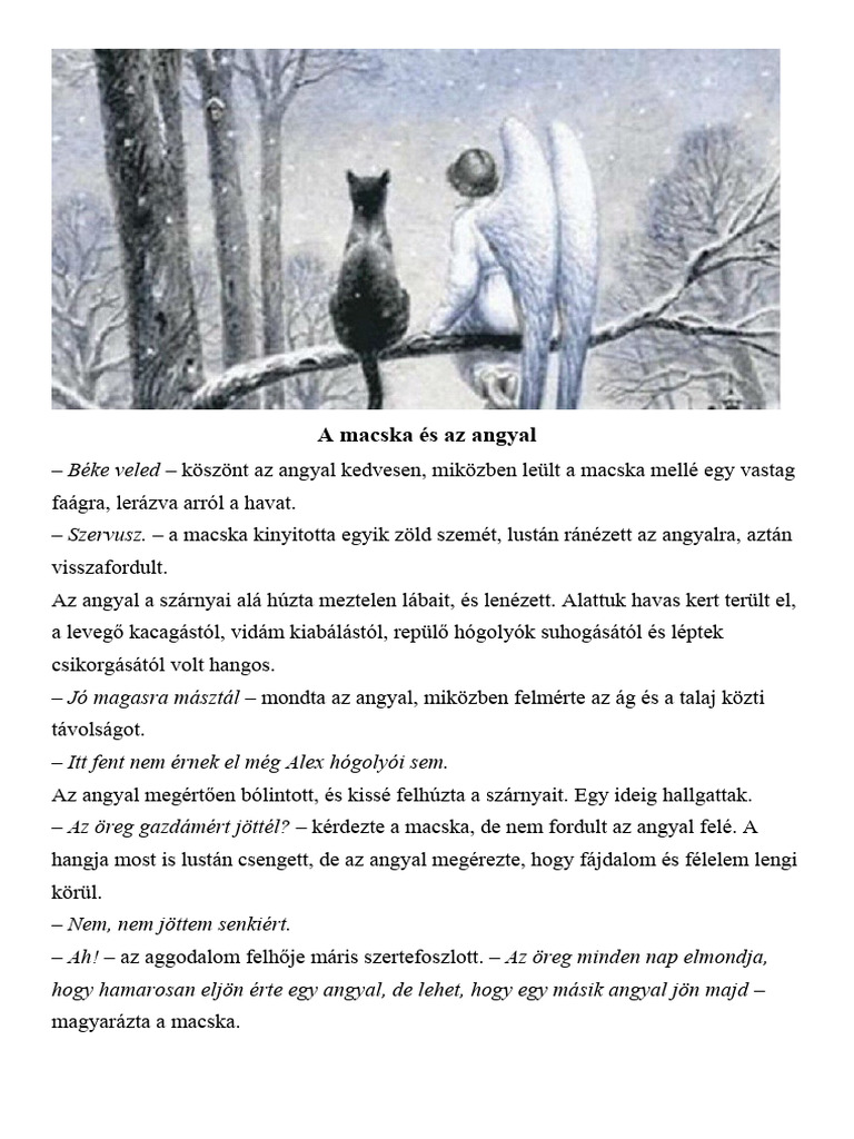 A Macska És Az Angyal | PDF
