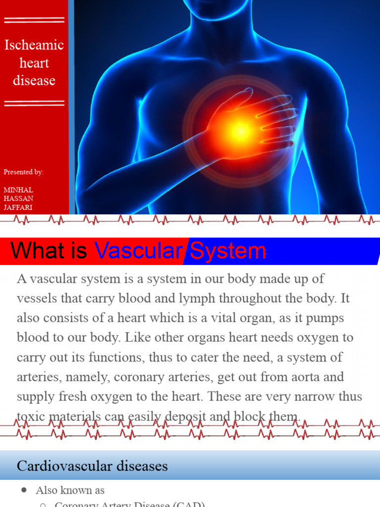 Cardiovascular Diseases | PDF | Coronary Artery Disease | Coronary ...