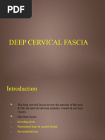 Cervical Lymph Node Mapping Guide | PDF