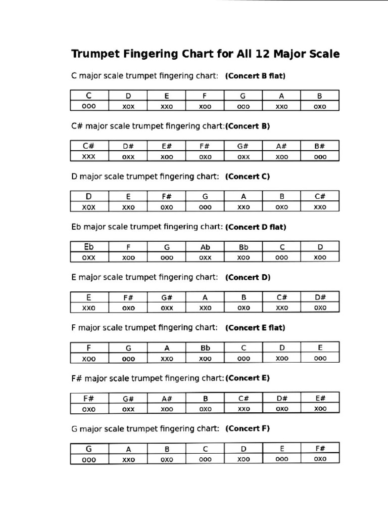 12 Major Keys Trumpet Chart 15-Jun-2024 11-05-04 | PDF