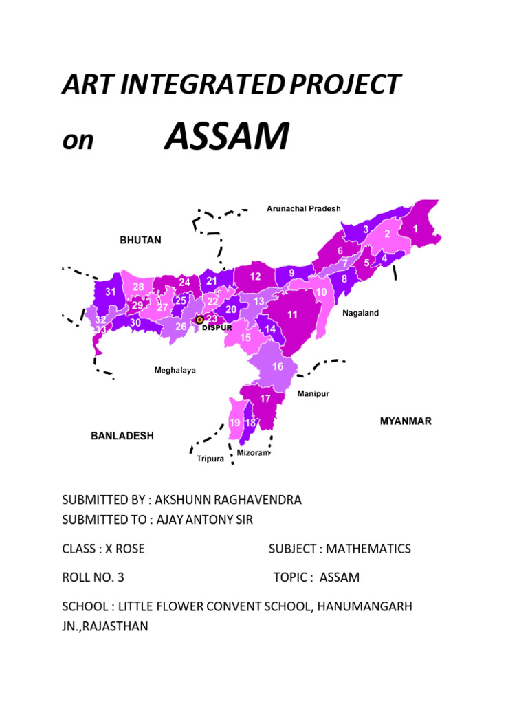 Assam: Economy and Population Overview | PDF | Politics | Social Science