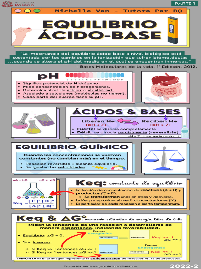 Equilibrio Acido-Base Infografia - Michelle Van 1 | PDF | Solución tampón | Ph