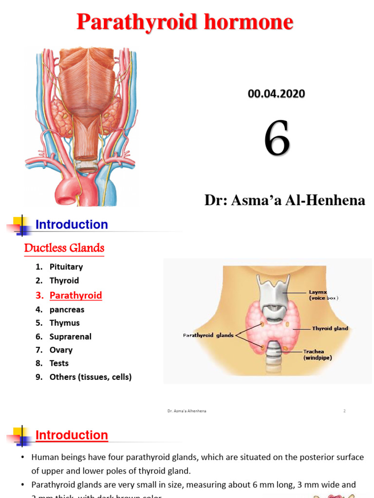 4- Parathyroid hormone | Download Free PDF | Bone | Glands