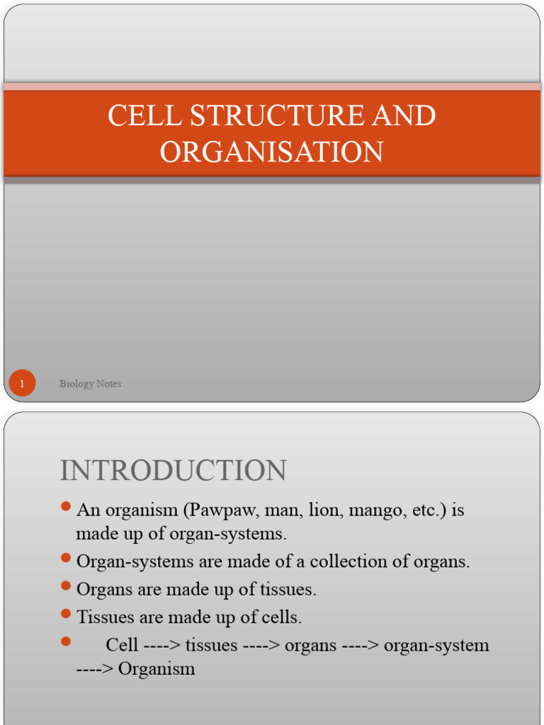 Cell Structure and Organisation | PDF | Cell (Biology) | Tissue (Biology)