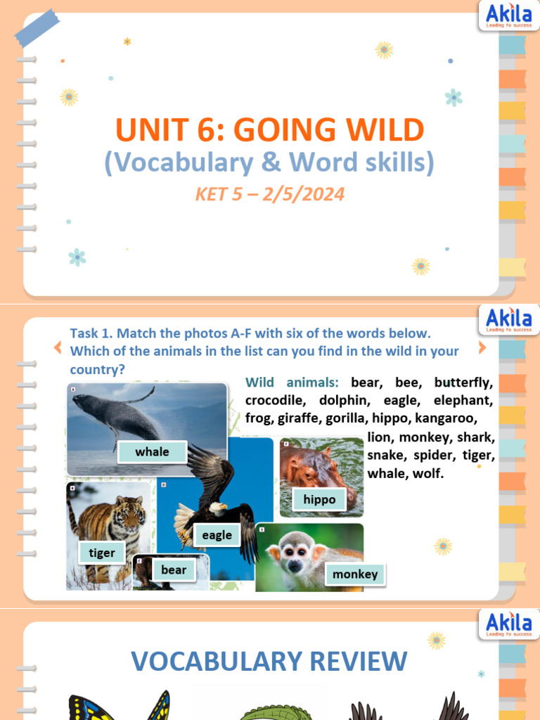 [KET 5-2.5.24] Unit 6A-6E - Going wild (Vocabulary and Word skills) | PDF | Tooth | Hippopotamus