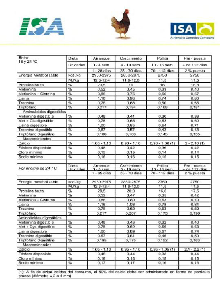 Requerimientos Isa Brown | PDF