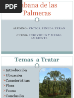 Sabana Húmeda Con Palmeras (Pampas Del Heath) | PDF | Deforestación ...