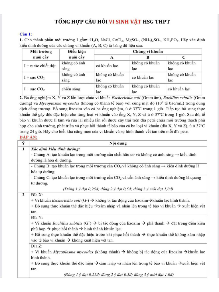 Câu hỏi VSV ôn V2 | PDF