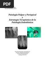 2da Clase - Endodoncia - Diagnostico Pulpar y Periapical | PDF | Odontología | Enfermedades y ...