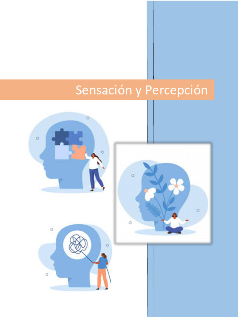 Sensación y Percepción | Descargar gratis PDF | Gusto | Percepción