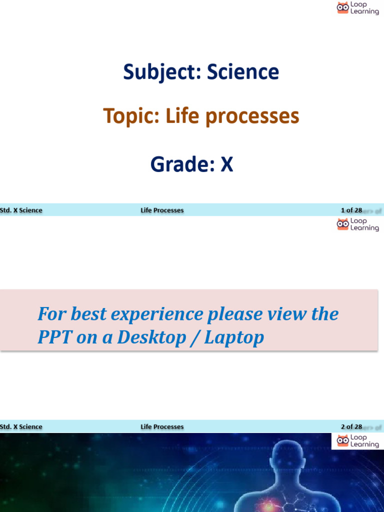 1714039603756.PPT Life Processes CH 5 Sci X CB | Download Free PDF | Cellular Respiration | Kidney